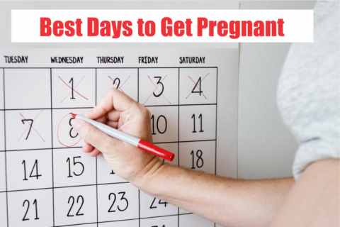 BEST DAYS TO GET PREGNANT - Carrot Top Drug