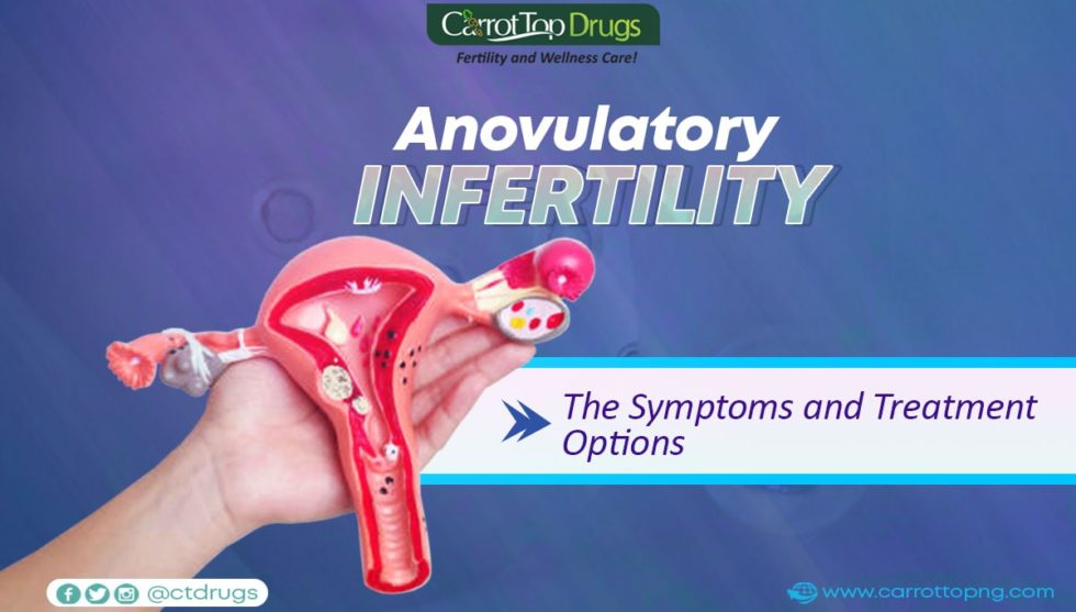 Anovulatory Infertility: The Symptoms and Treatments Options