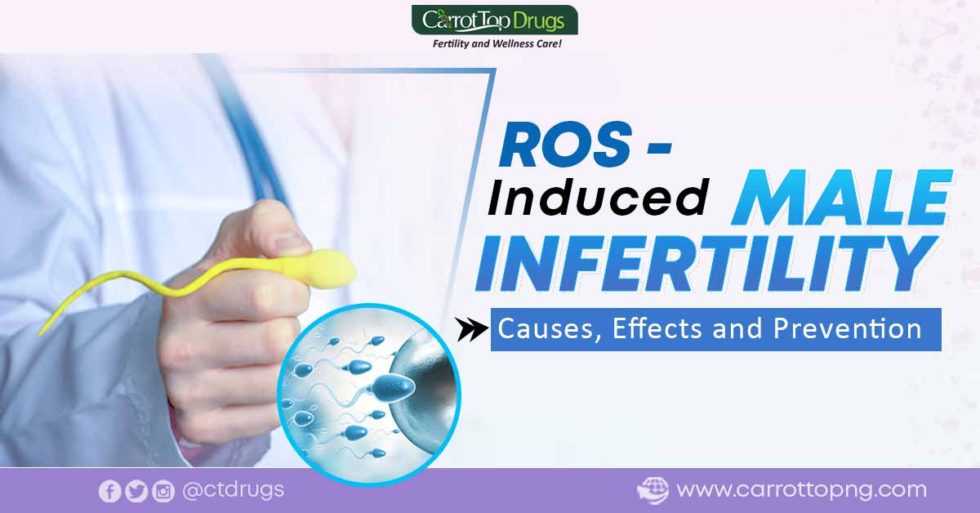 ROS-Induced Male Infertility: Causes, Effects, and Prevention.