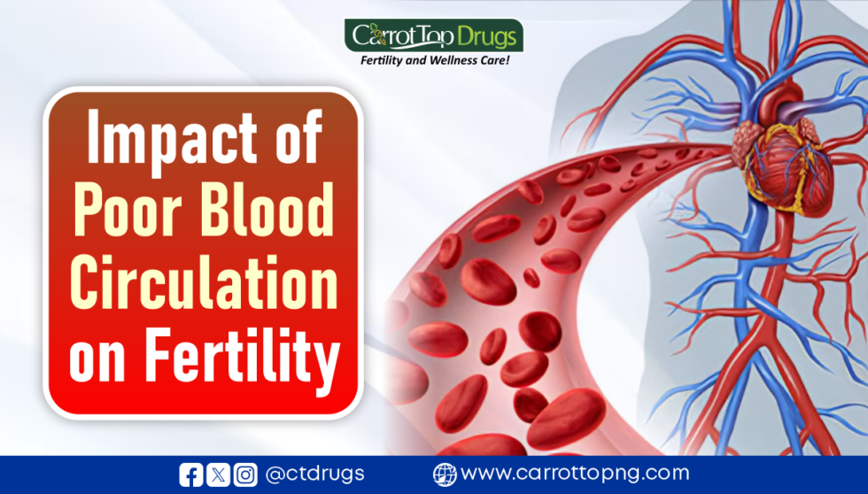 Impact of Poor Blood Circulation on Fertility