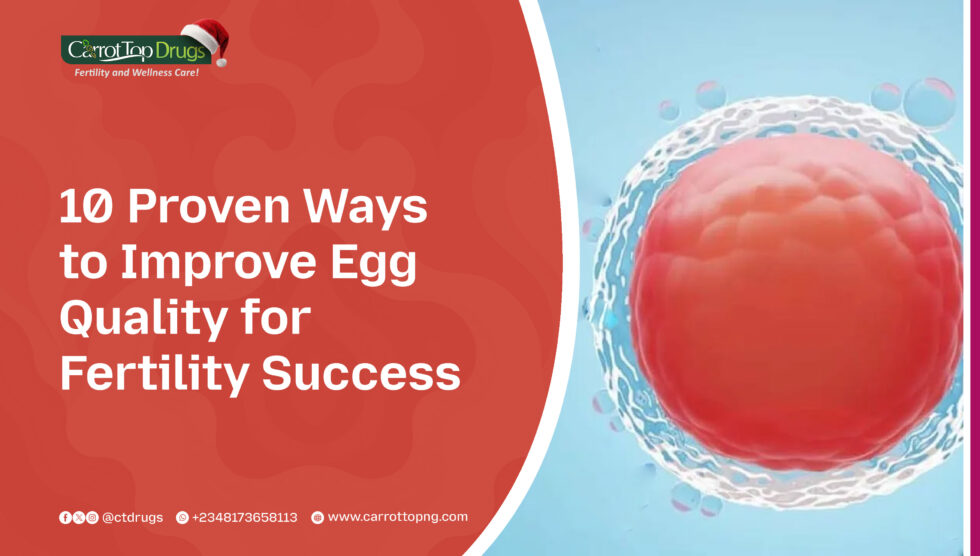 10 Proven Ways to Improve Egg Quality for Fertility Success