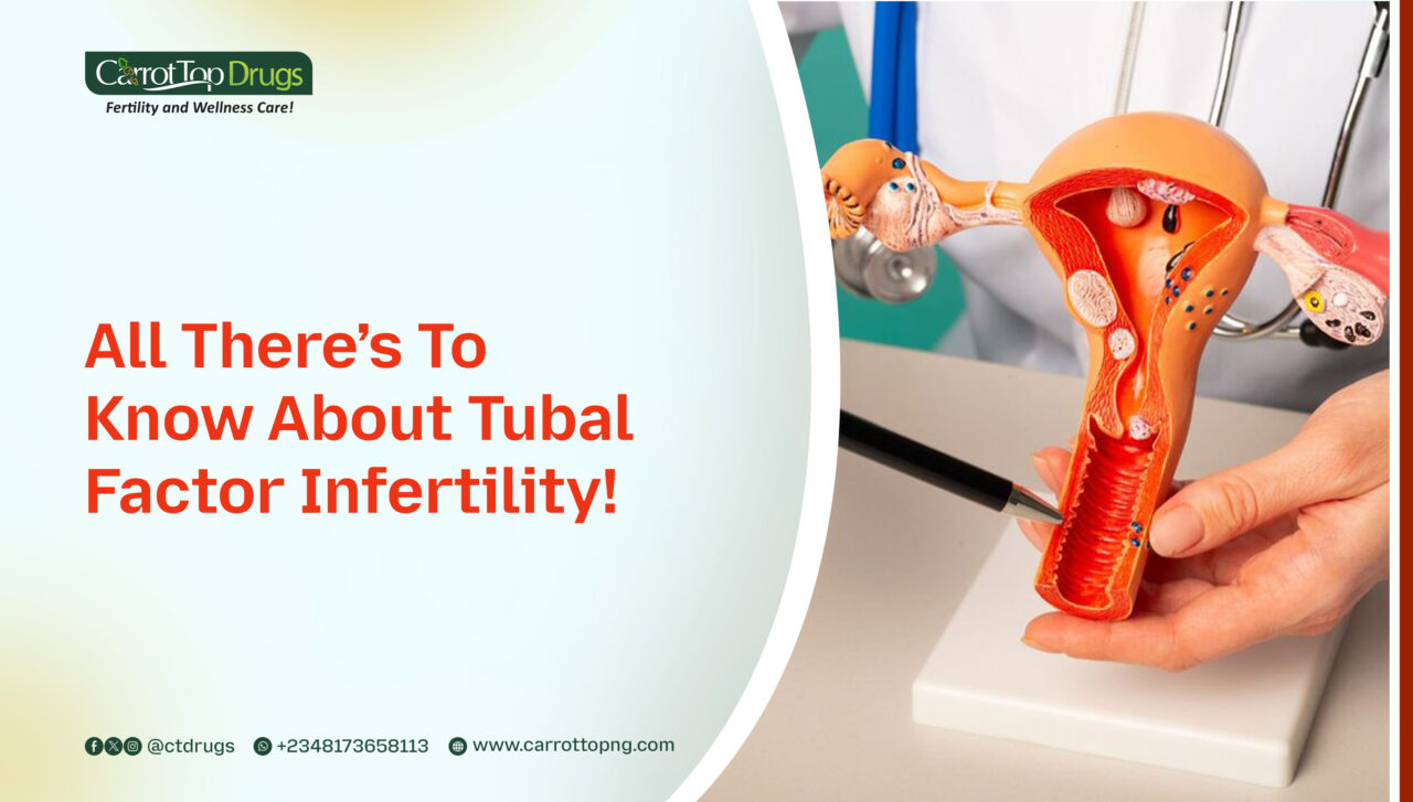 All There's To Know About Tubal Factor Infertility!
